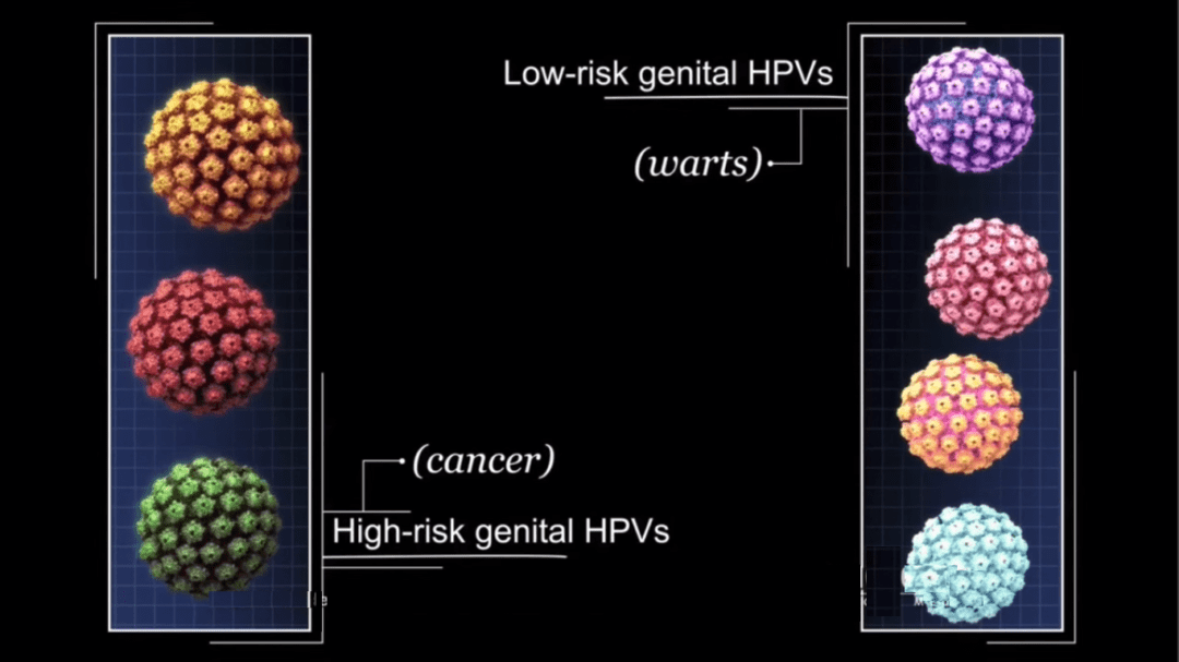 An STD causing Cancer or Oral Sex causing cancer - STD Testing Near Me